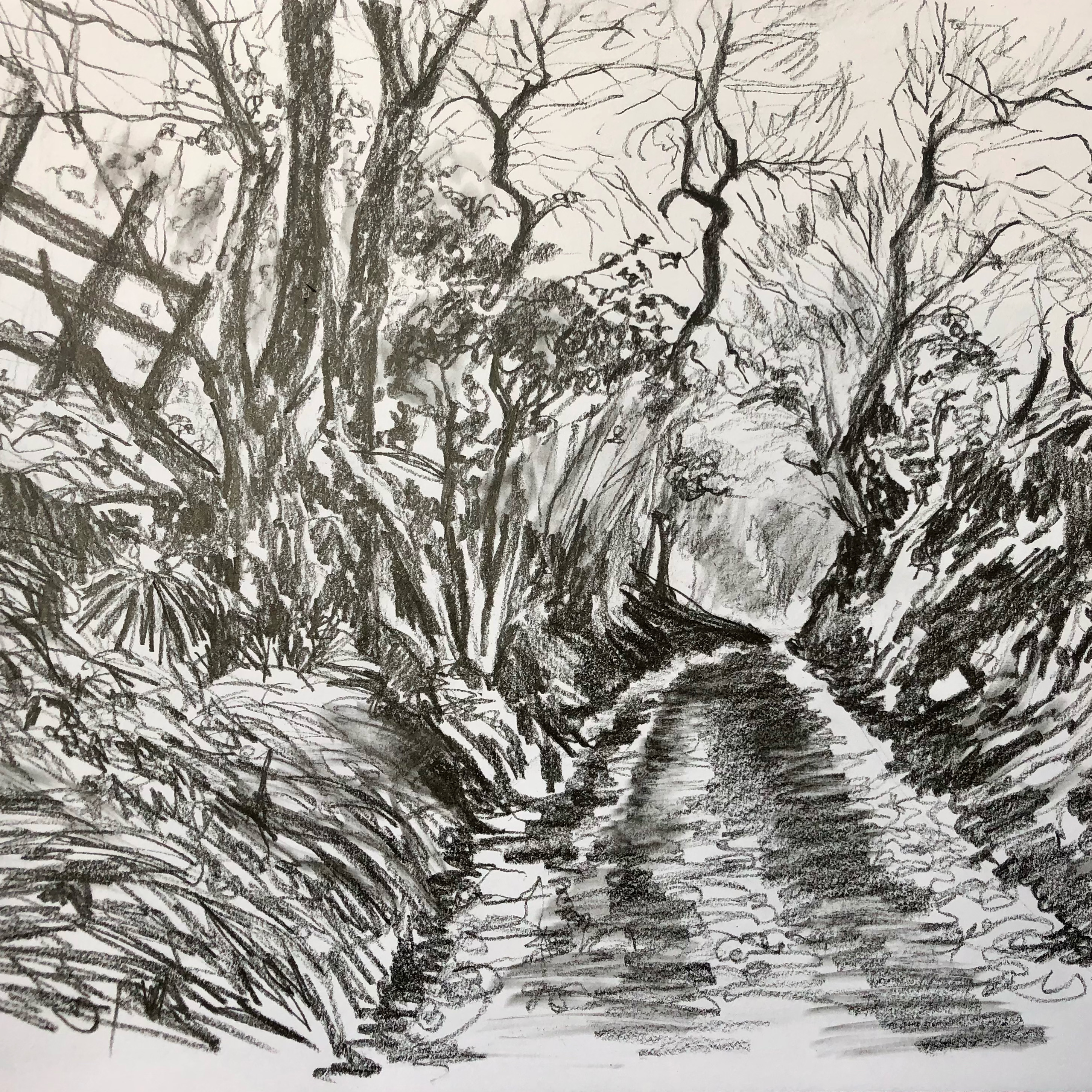 Trees & Flowers – Sue Marsden Art Studio