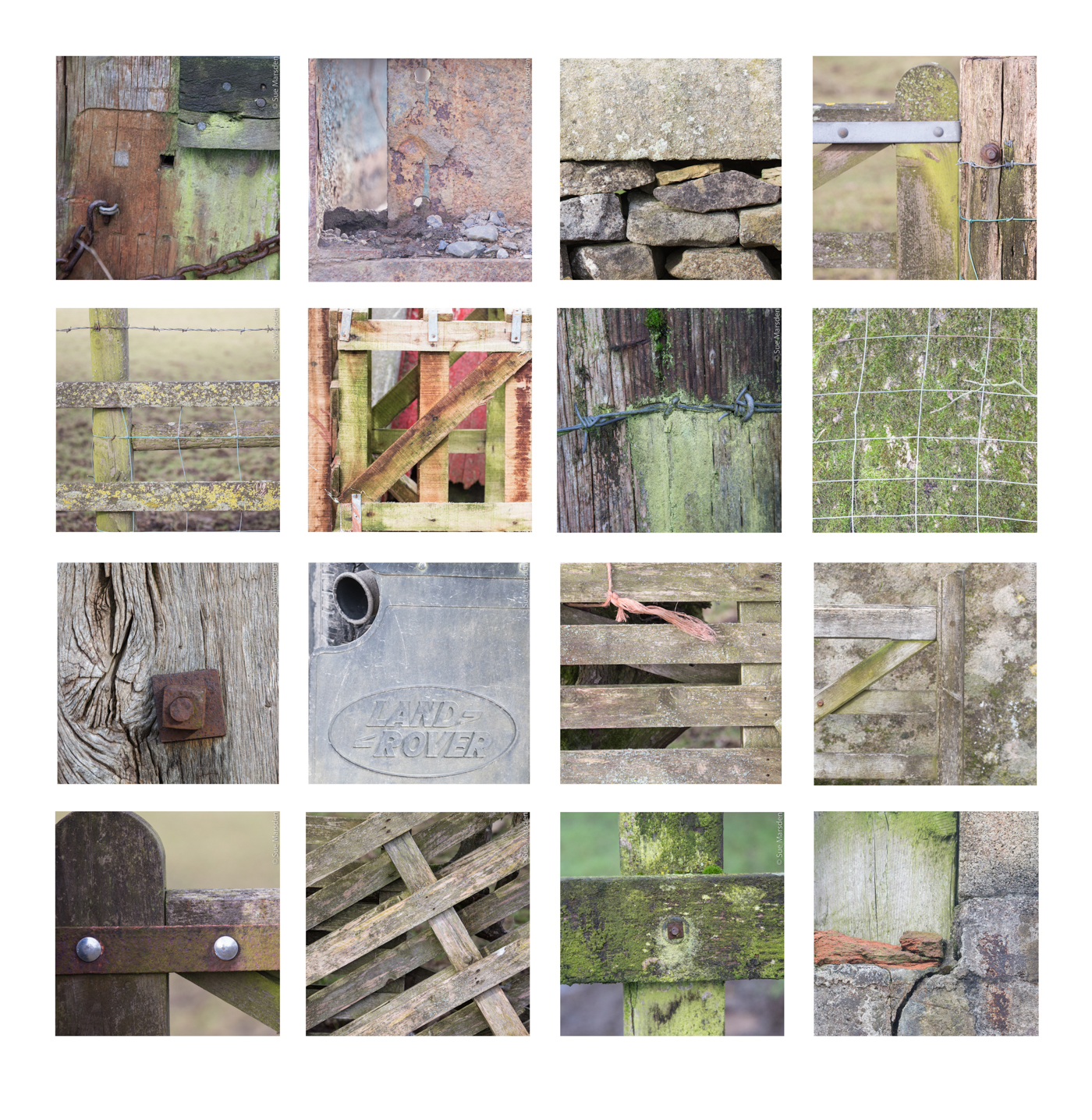 Sue Marsden Art Studio – Painting and Photography