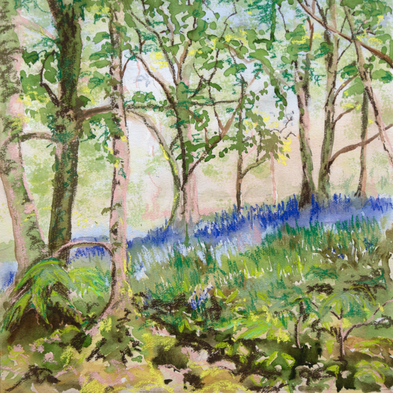 Sue Marsden Art Studio – Painting and Photography