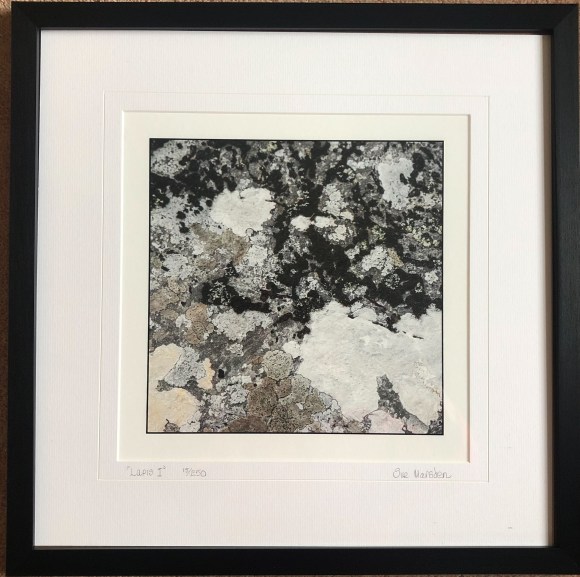 Lapis – Sue Marsden Art Studio