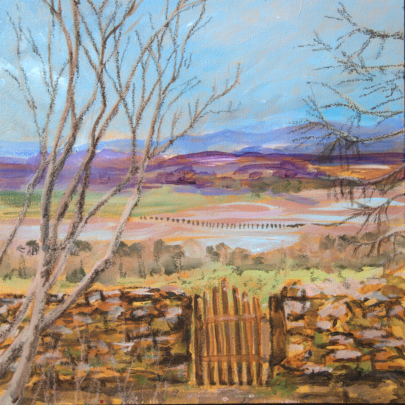 Landscapes – Sue Marsden Art Studio
