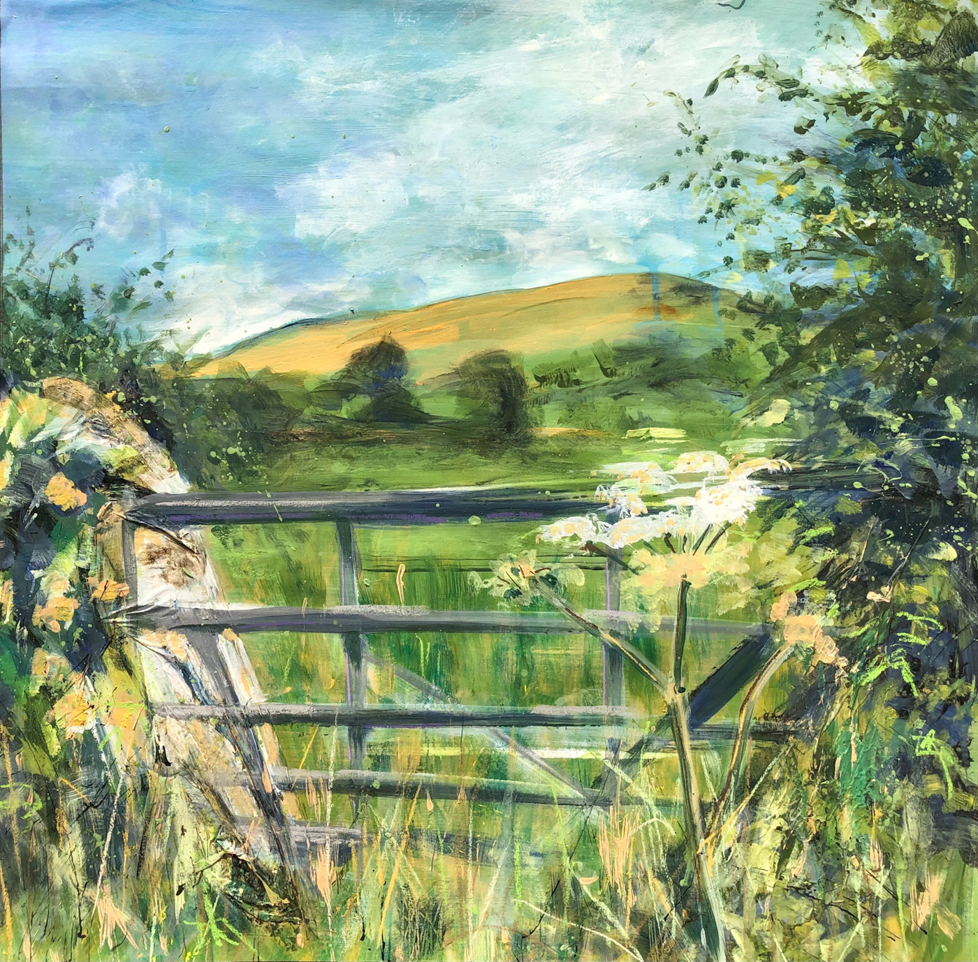 Collections – Sue Marsden Art Studio