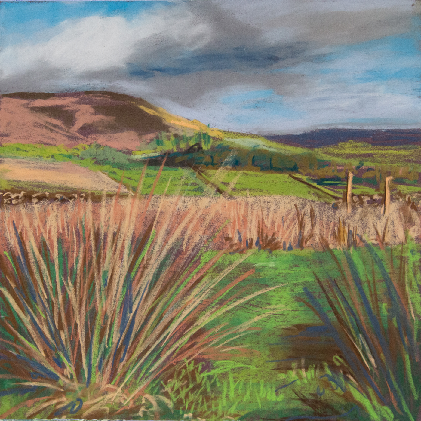 Landscapes – Sue Marsden Art Studio