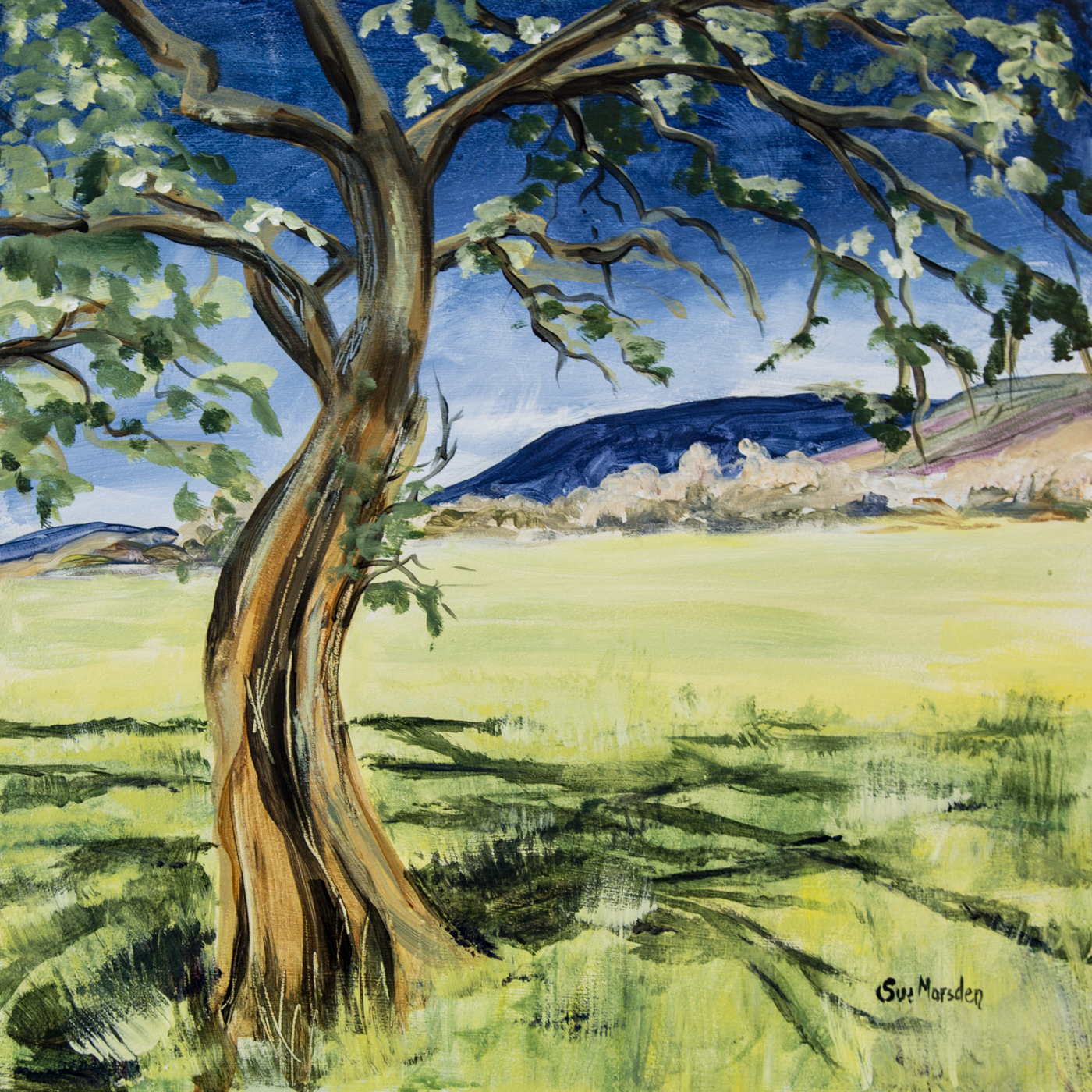 Landscapes – Sue Marsden Art Studio