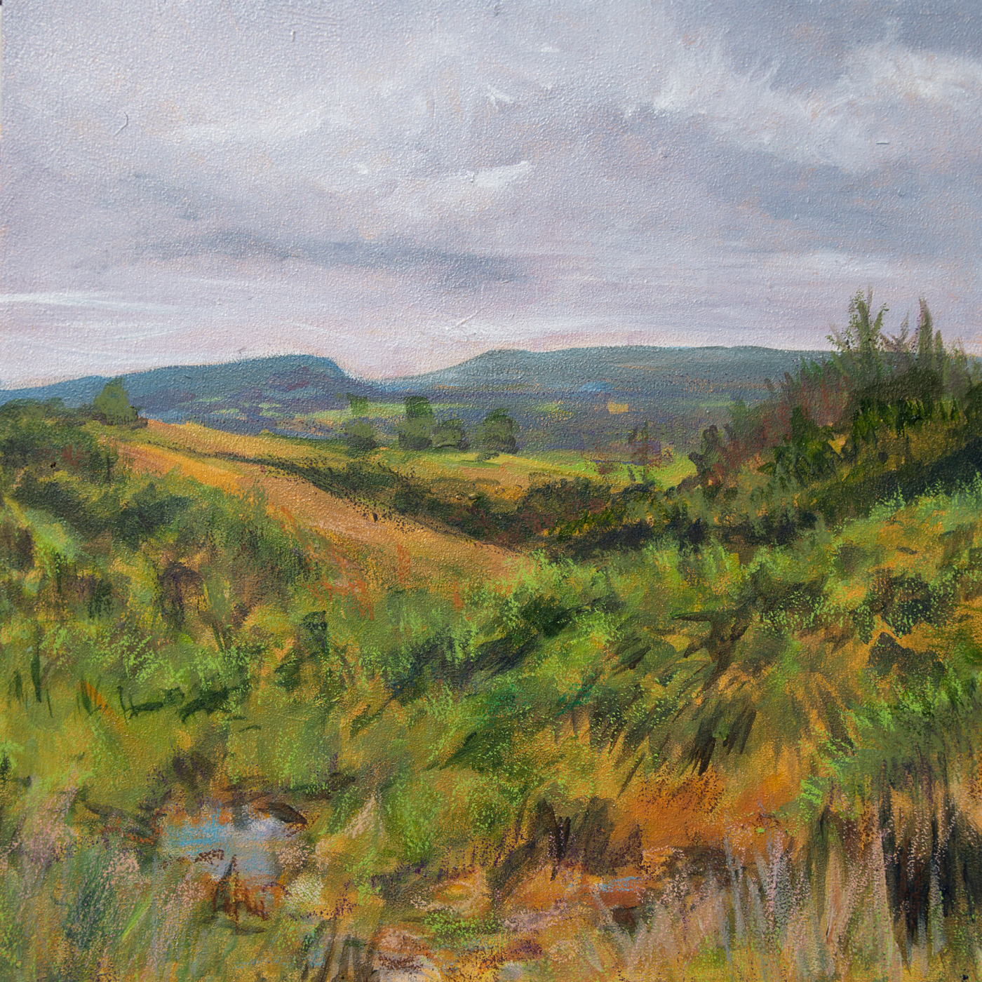 Landscapes – Sue Marsden Art Studio